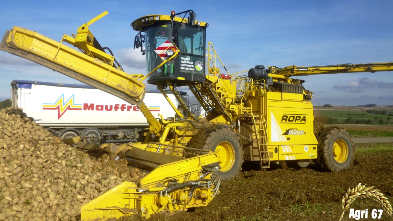 Chargement De Betteraves 2016 | Ropa Euro Maus 4 - YouTube