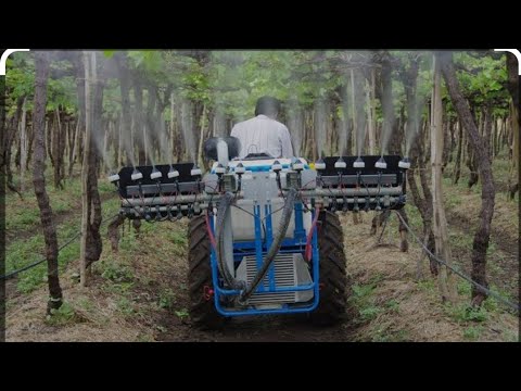 ESS spray In Grapes - YouTube