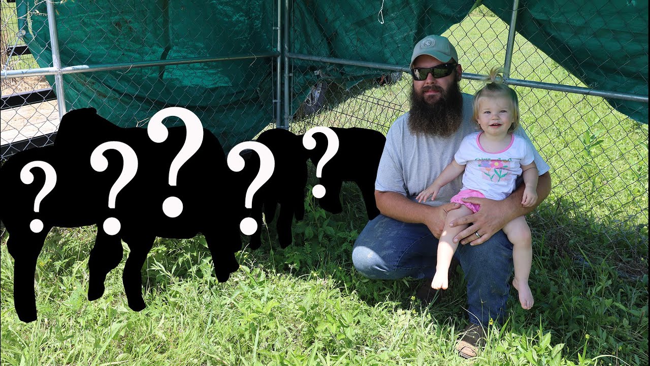 New Farm ANIMALS! Best of Their Kind - In Our Opinion - YouTube