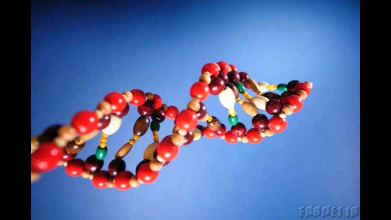 Nanoparticle encapsulation via PIC VD - Donya Farhanian - Polytechnique ...