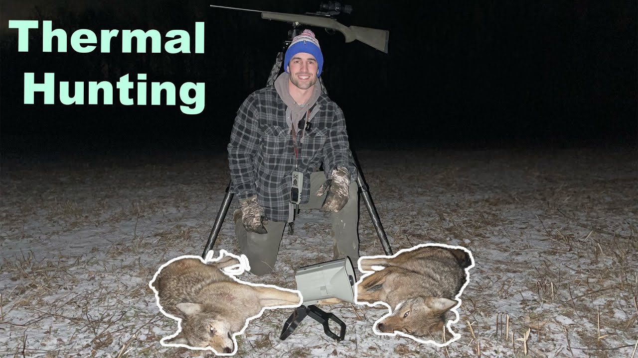 Thermal Hunting Coyotes | GAME CHANGER 2 Coyotes Down - YouTube