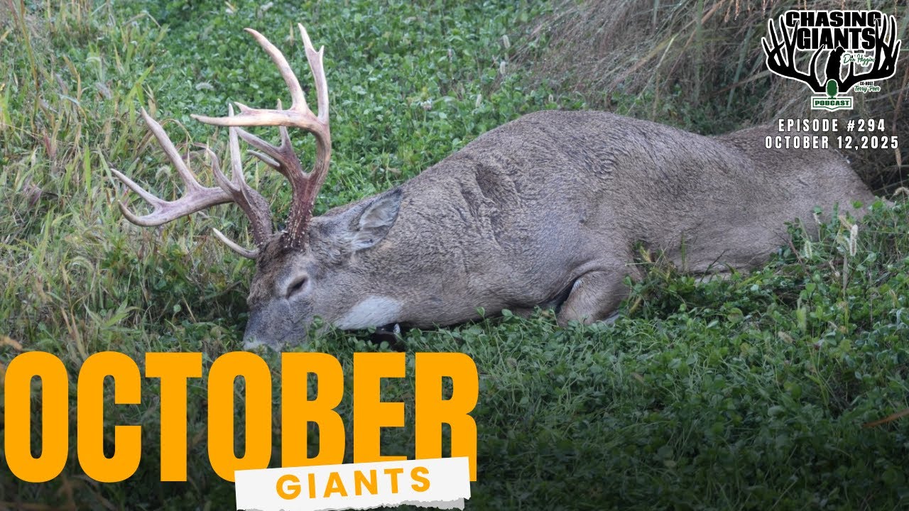 #294 From Old School to High Tech: Don Higgins Reflects on 40 Years in ...