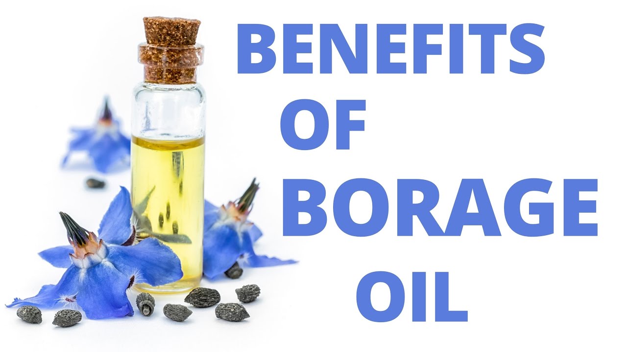 Borage Oil Benefits