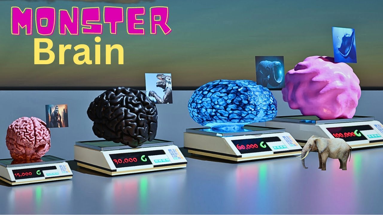 Sea monsters ,Monsters, Animals Brain Weight Comparison | Bloop vs El ...