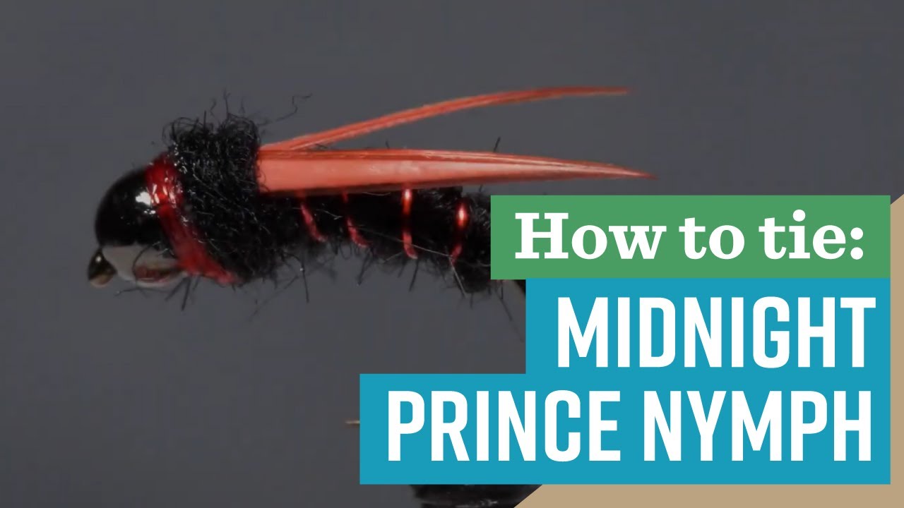 How to Tie Flies: Midnight Prince great trout fly! - YouTube