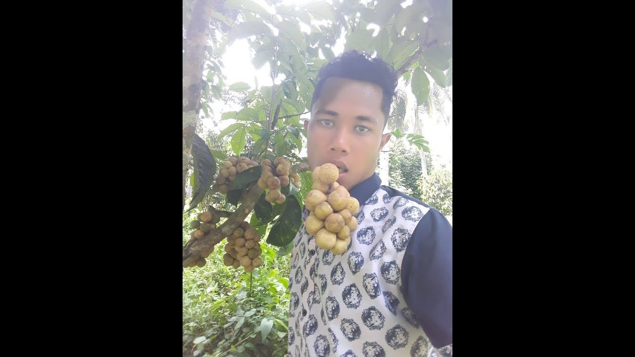 Timpupo Festival in Kidapawan City (Filipino Festival) - YouTube