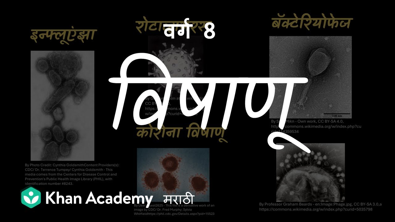 Viruses | Living World and Classification of Microbes |Grade 8 ...