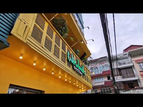 ดาลัด​ เวียดนาม​ อากาศ​หนาวทั้งปี​