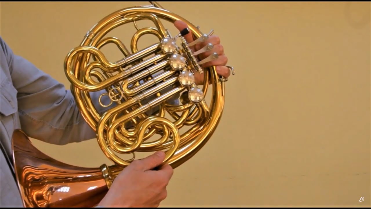 #PoznajInstrument - waltornia - YouTube