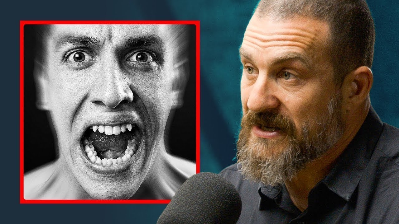 The One Thing Guaranteed To Cause Extreme Fear - Andrew Huberman - YouTube