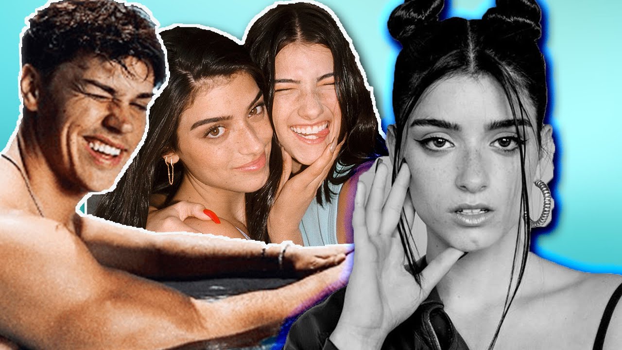 Dixie D'Amelio Gives Fans An Exclusive Look Into Her Life | Hollywire ...