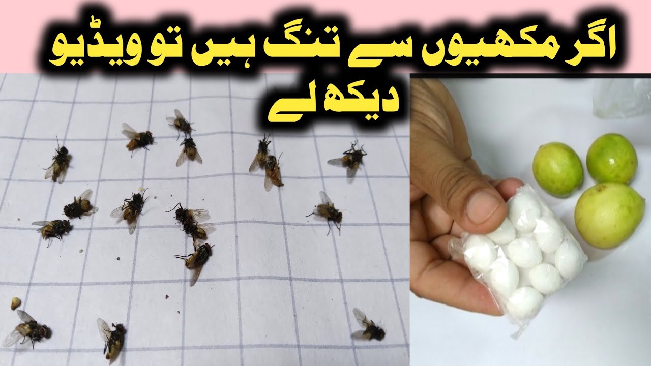 Makhiya mar spray remedy / Makhi mar spray by chef shair khan food ...