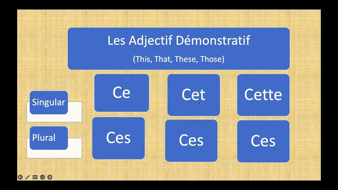 Les Adjectifs Démonstratifs ( Demonstrative Adjective) - YouTube