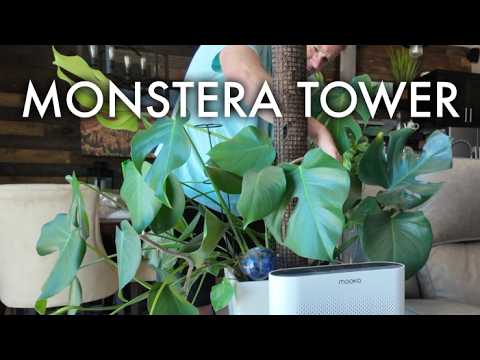 Monstera Plant Tower Build - YouTube