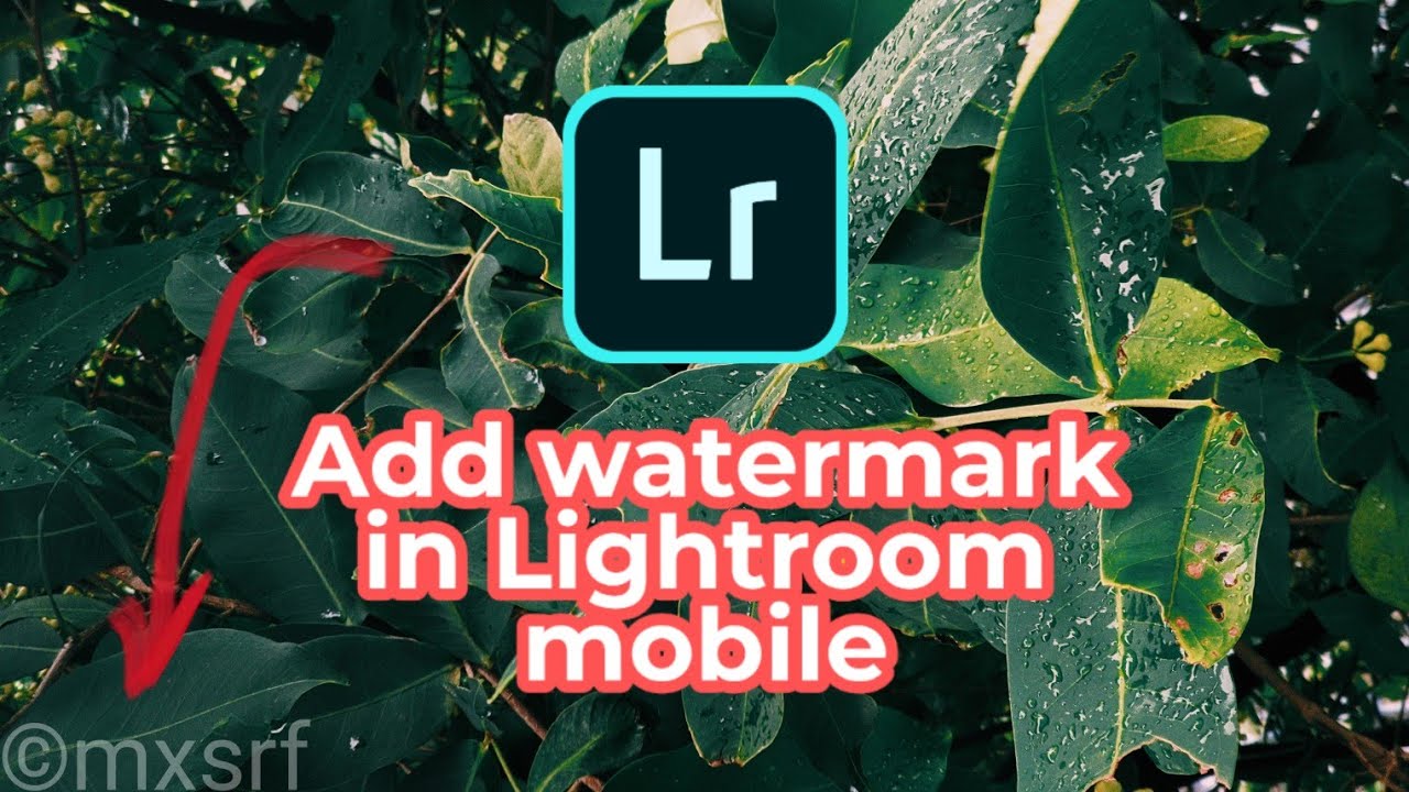 How To Add Watermark In Lightroom Mobile YouTube how-to-add-watermark-in-lightroom-mobile-youtube