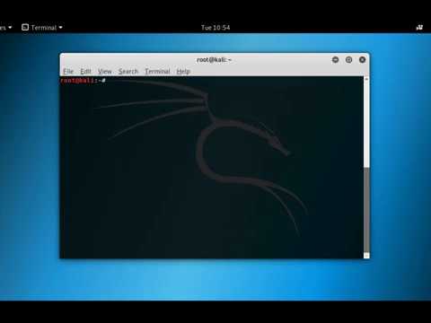 How to update Kali Linux to latest version - YouTube