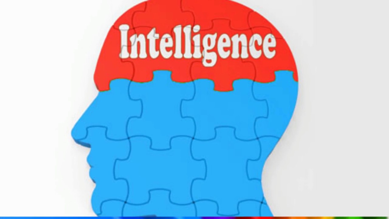 What Is Verbal IQ YouTube what-is-verbal-iq-youtube