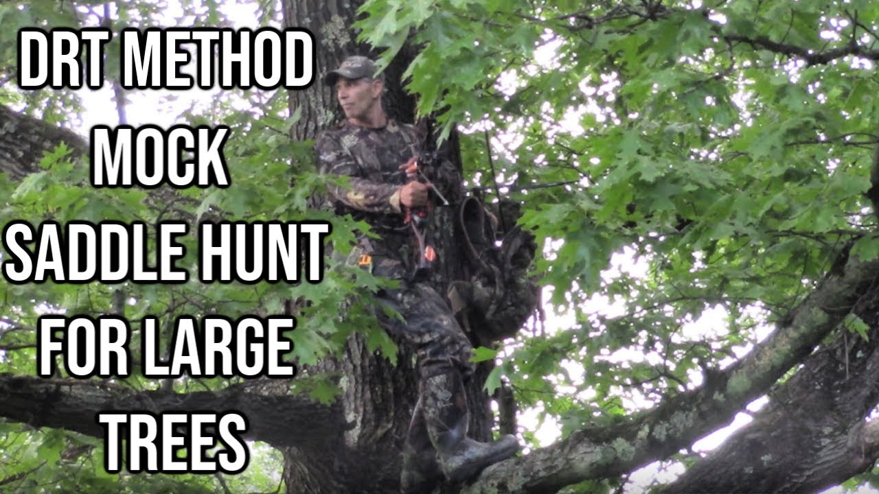 DRT Mock Hunt for Large Trees | Saddle Hunting - YouTube