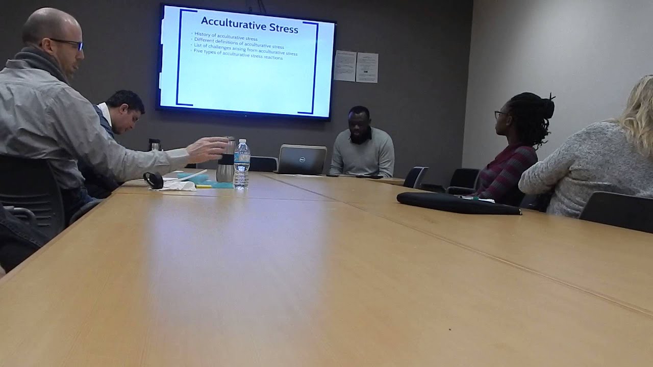 Acculturative Stress and Nigerian International Students in Canada by ...