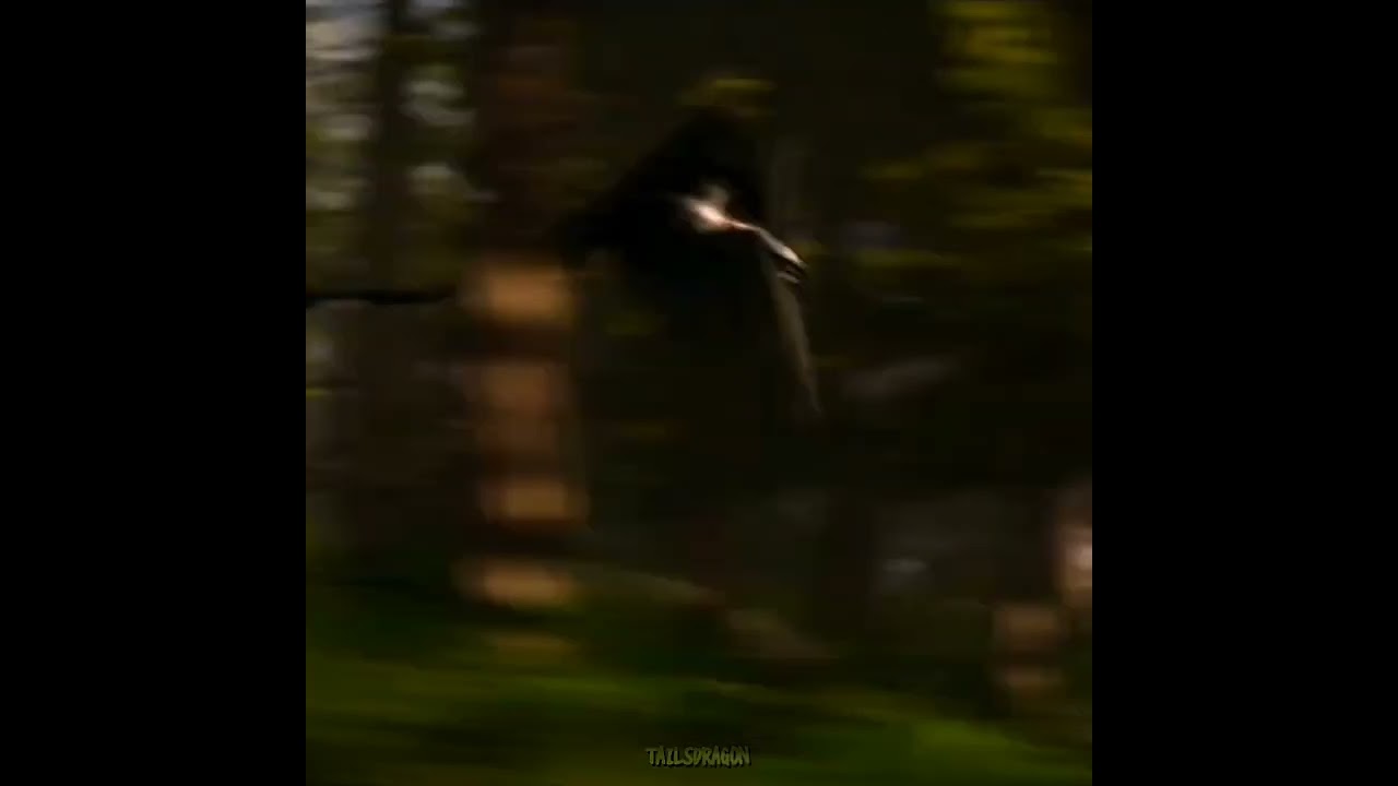 run toothless 🖤🌙 - how to train your dragon Edit 🎬 - YouTube