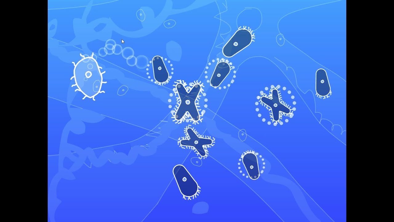 Microbe Kombat - A Simplistic, Microbial Game (Full Playthrough) - YouTube