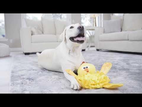 Outward Hound Nina Ottosson Snuffle Palz Interactive Plush Dog Puzzle and Snuffle Mat for Dogs ...