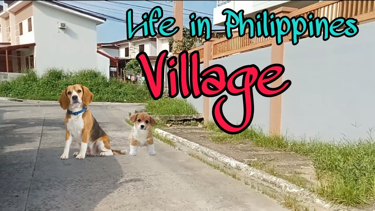 Life in the Philippines, Philippines Province, - YouTube
