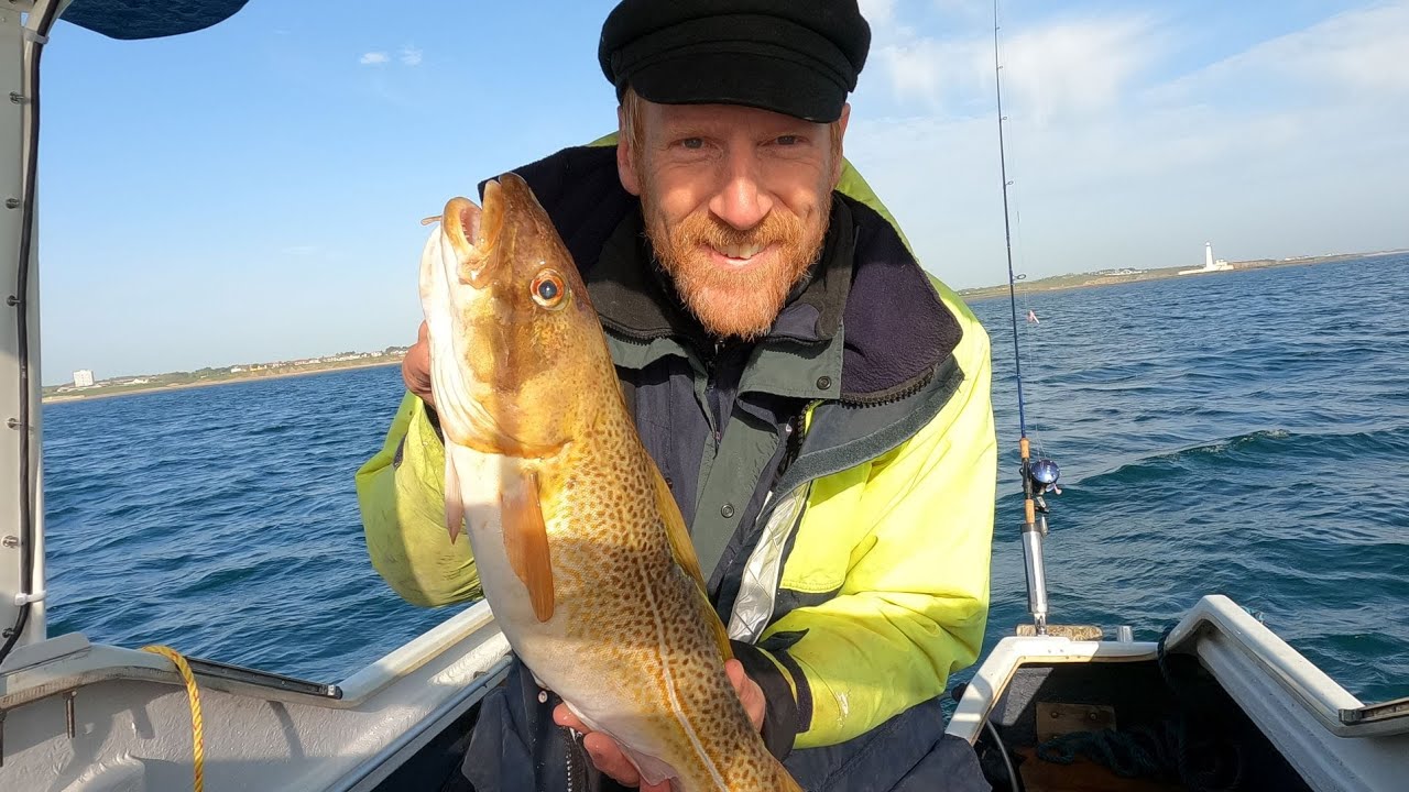 Boat fishing in Spring- the codling have arrived! - YouTube