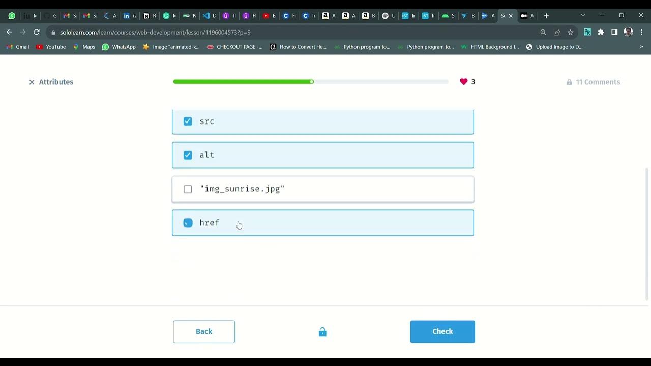 18 Attributes Web Development Sololearn Answers Youtube