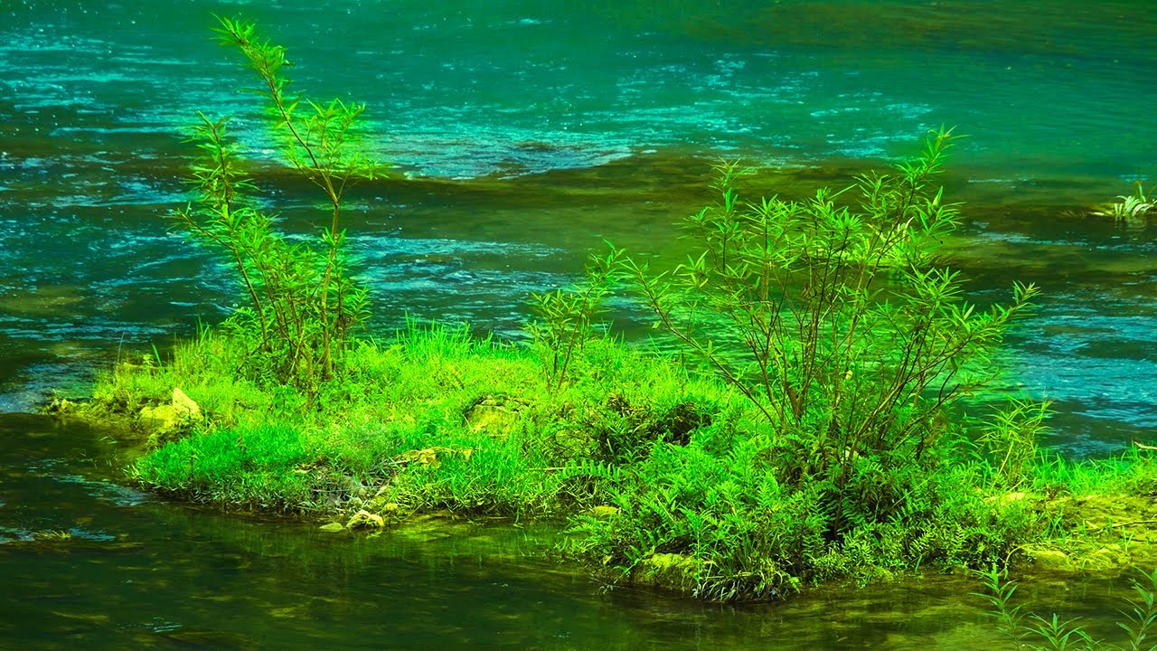 Relaxing Music & Flowing Water Sounds For Stress Relief | Healing Music ...