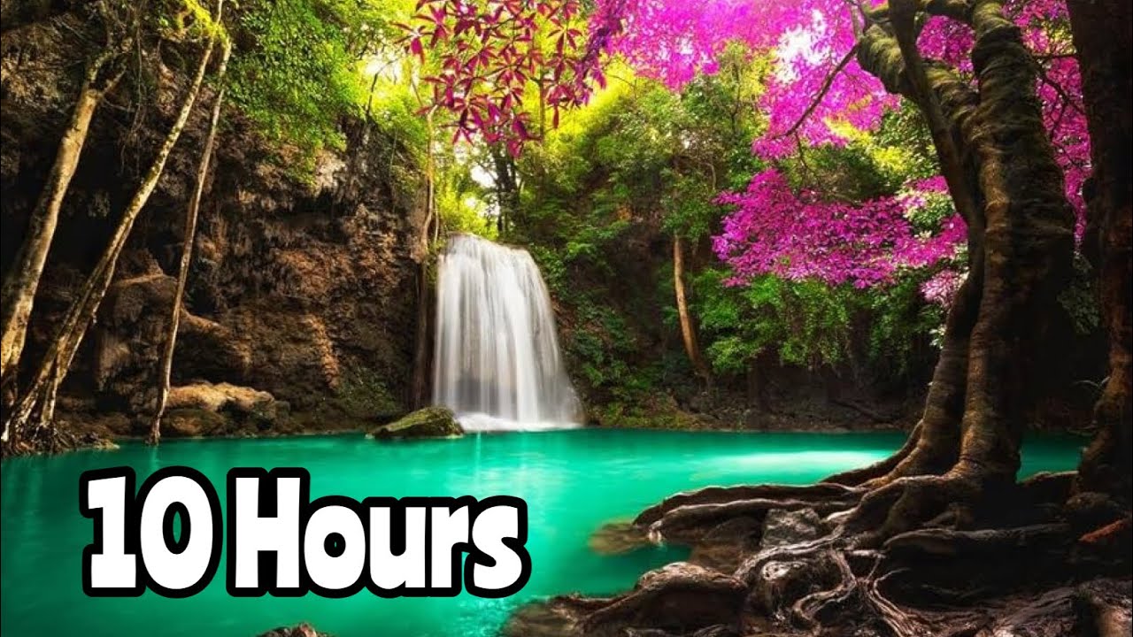 Nature's Lullaby: 10-Hour Meditation Soundscapes - YouTube