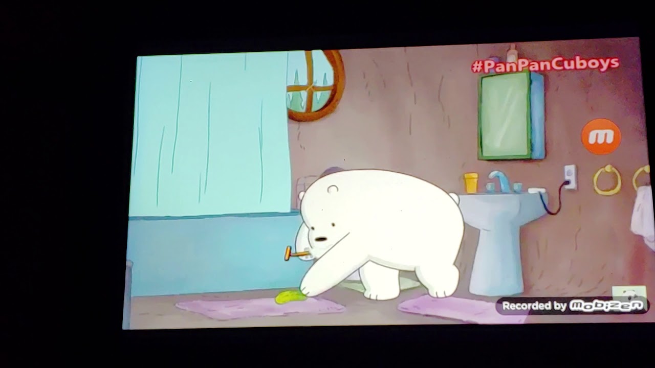 Ice bears scared of cucumbers or cuboys - YouTube