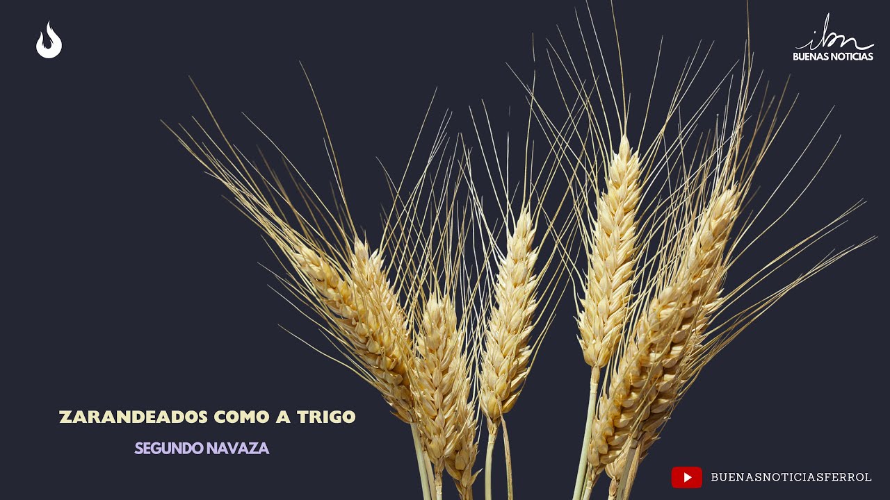 Domingo | Segundo Navaza: Zarandeados como a trigo [25/02/2024] - YouTube