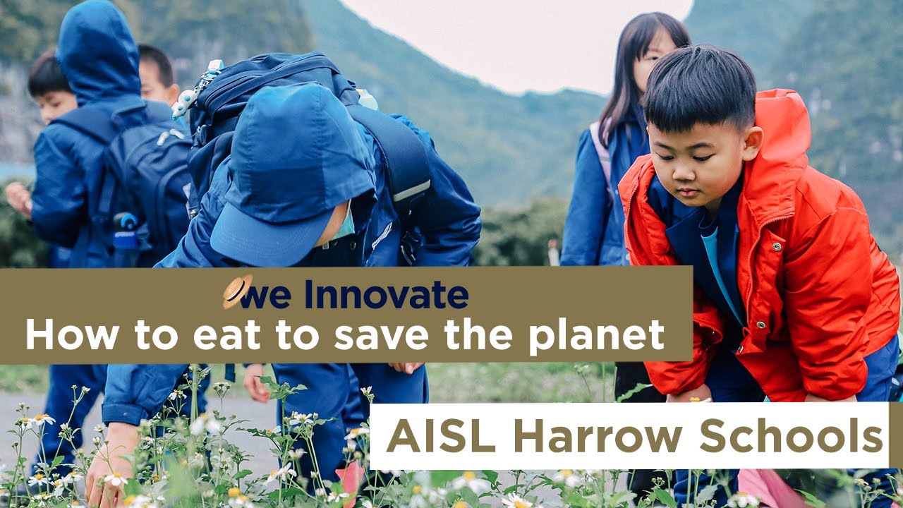We Innovate: How to eat to save the planet - YouTube