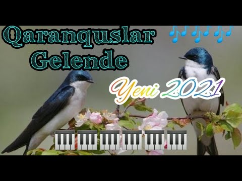 Qaranquslar Gelende (Popuri) 2021