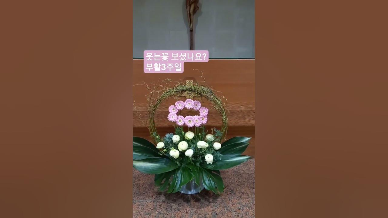 웃는꽃보셨나요 자비주일꽃꽂이 부활3주일꽃꽂이 Youtube