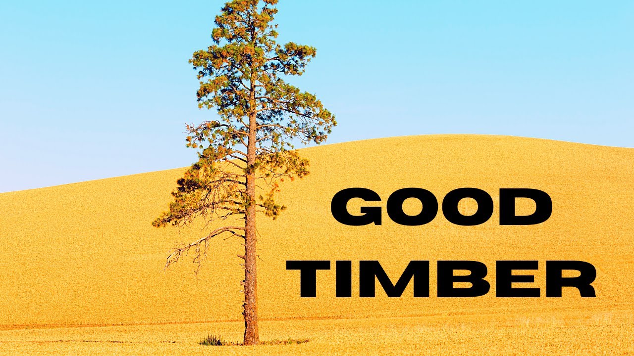 Good Timber | Motivational Poem By Douglas Malloch - YouTube