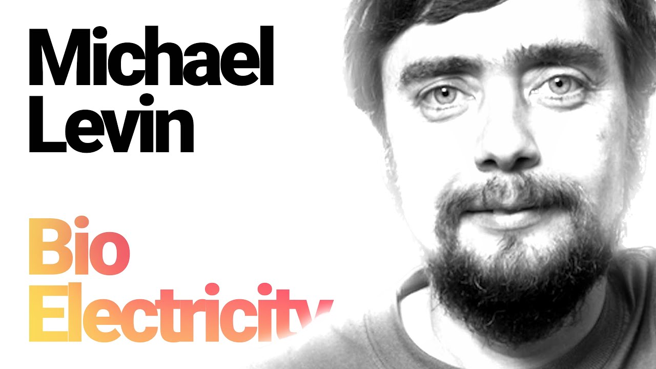 Could We Encode Bioelectric Messages to Alien Life? Michael Levin - YouTube