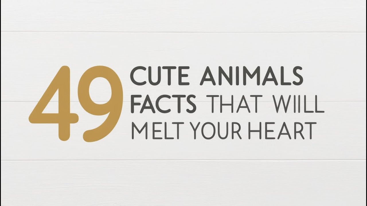 49 Cute Animals Facts that will Melt your Heart - YouTube