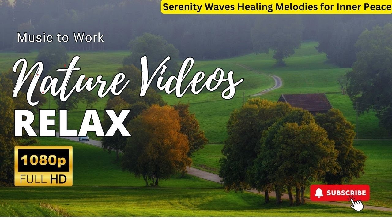 Nature's Melodies: Healing Bird Songs and Scenic Relaxation for ...