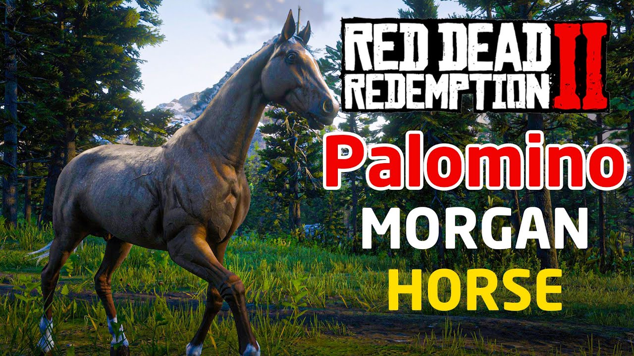 Red Dead Redemption 2 - Palomino Horse Horse - YouTube