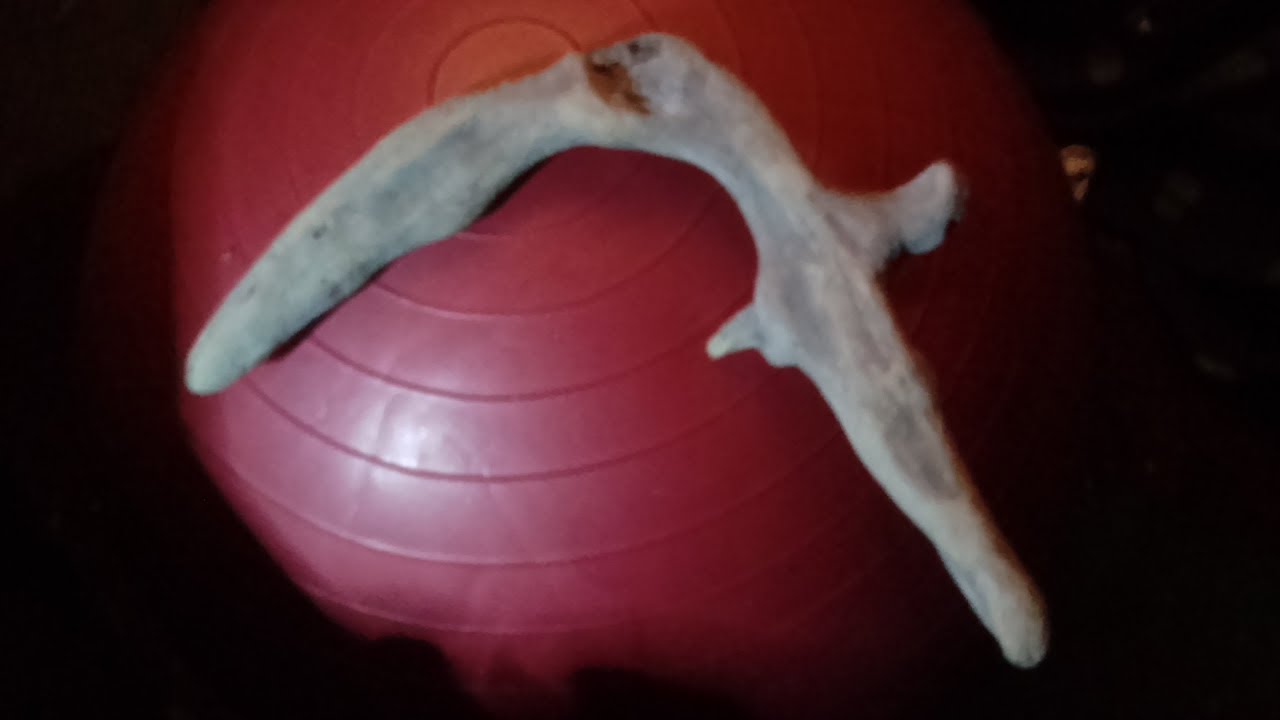 Ancient Irish Weapon: The Boomerang part 3. - YouTube