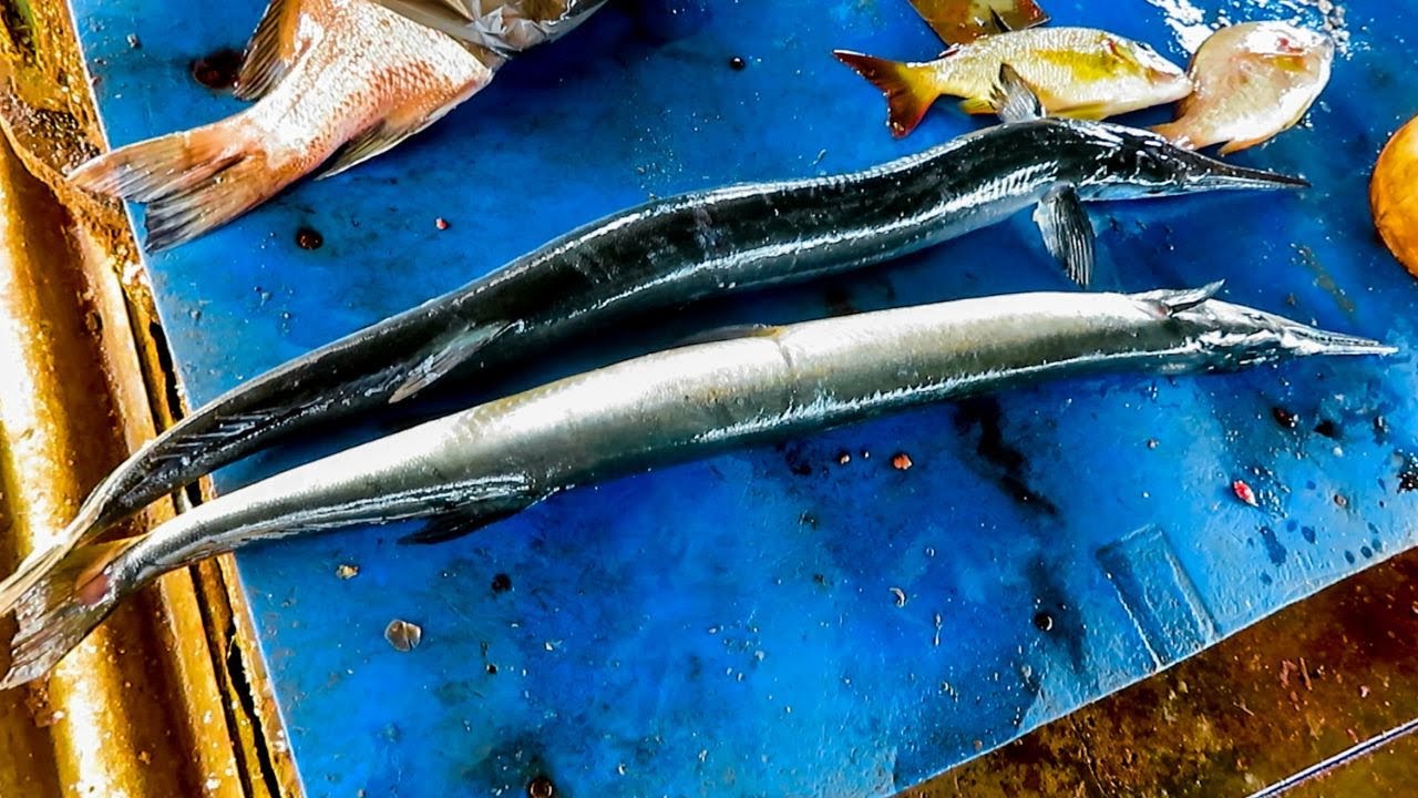 Interesting! Long Hound Fish Slicing in a Bustling Village Fish Market ...