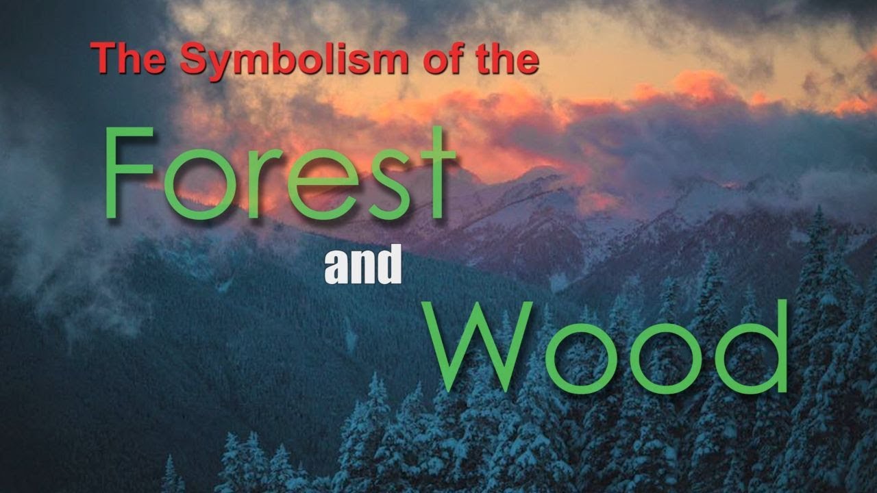 The Symbolism of the Forest and Wood - YouTube