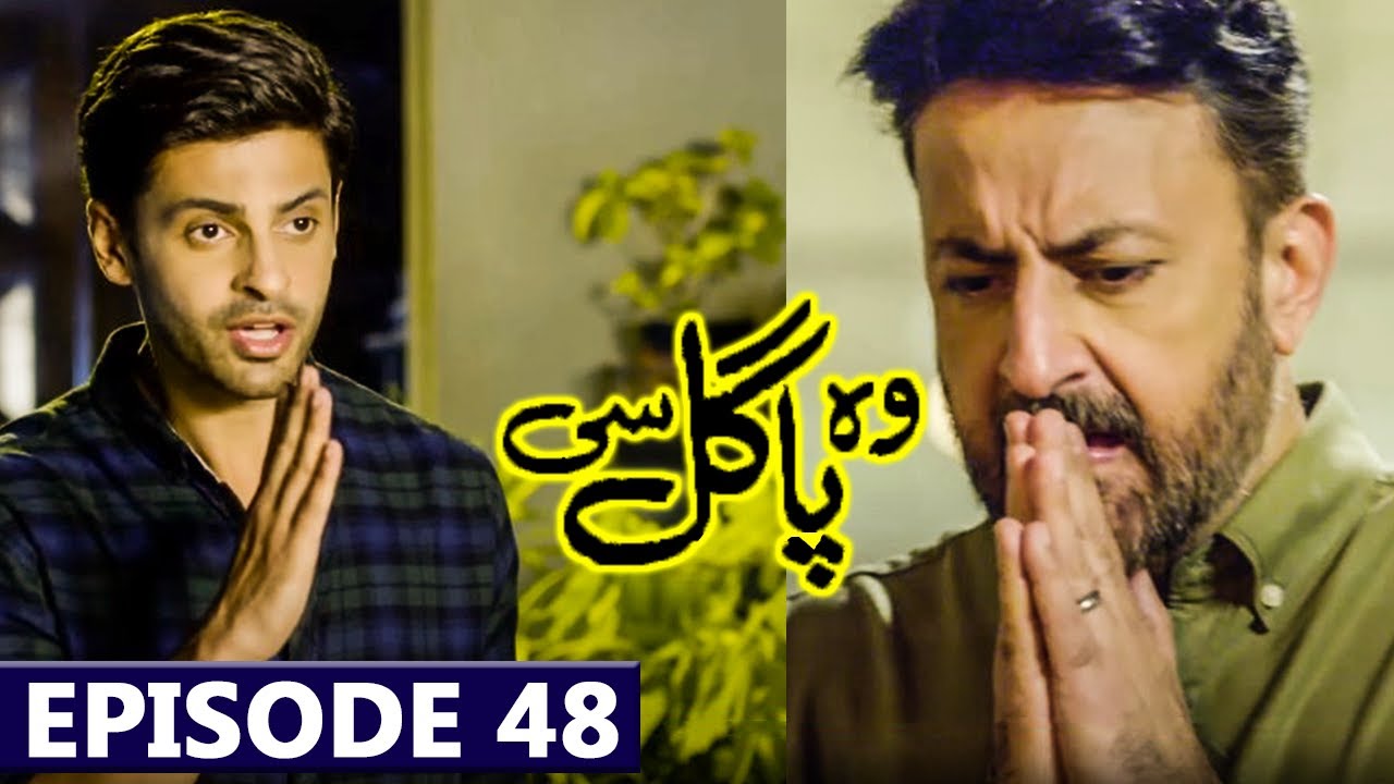 Wo Pagal Si Episode 48 Full Drama | Babar Ali & Zubab Rana Best Scenes | Wo Pagal Si Ep 48 Promo ...