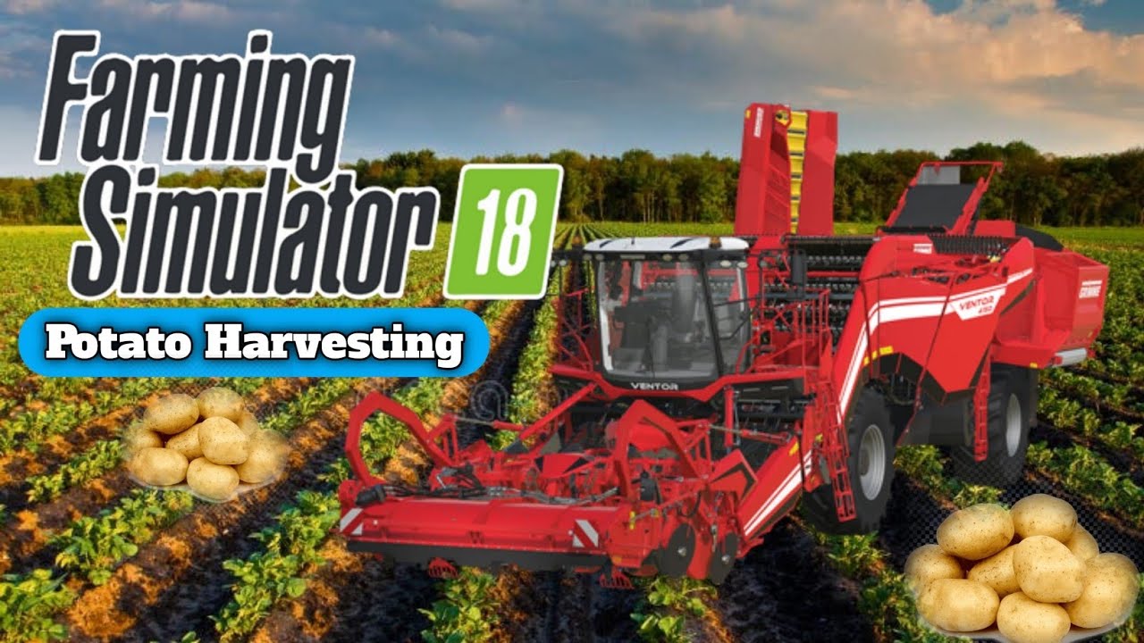Potato Harvesting | Farming Simulator 18 | Potato Farming | Harvesting ...