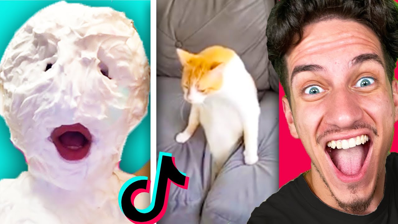 Funny Tik Toks Worth Watching Instead of Going to School! - YouTube