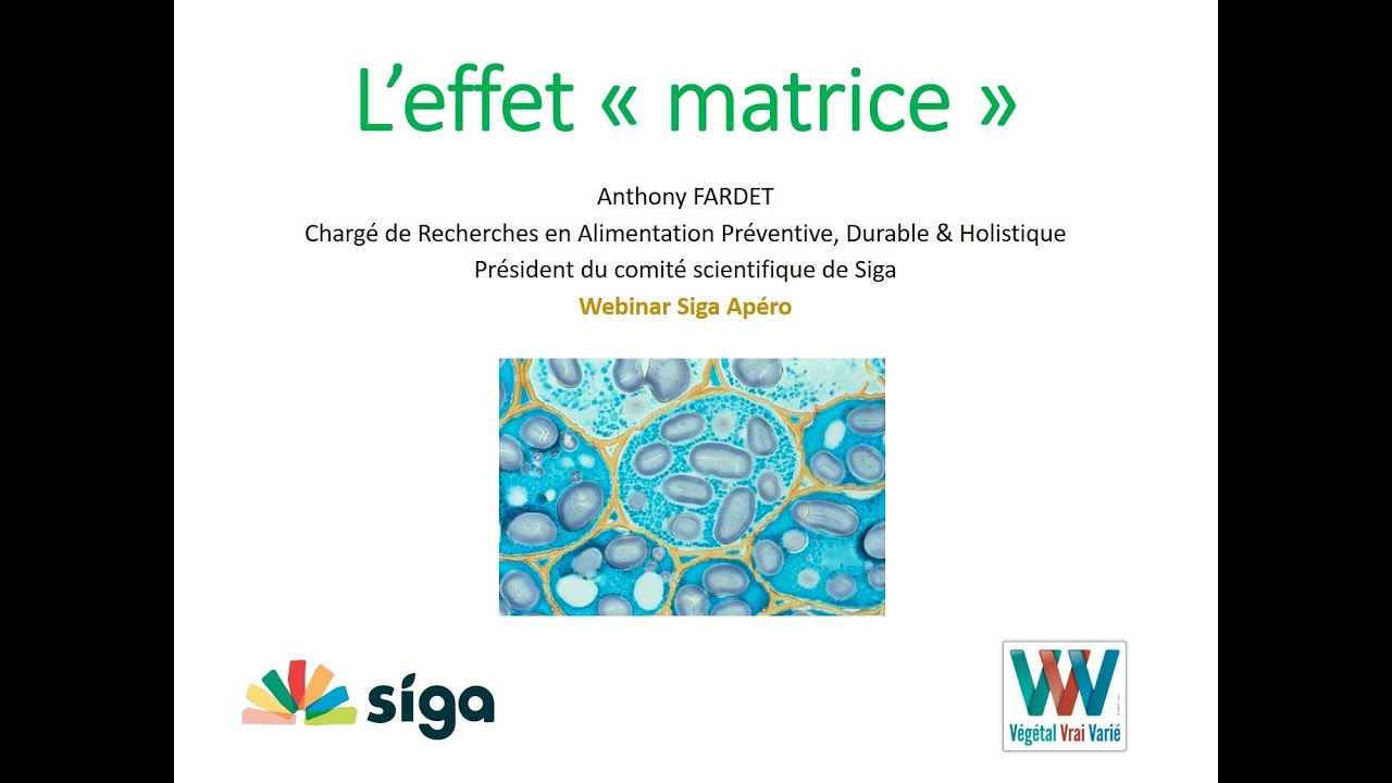 L'effet matrice des aliments - Webinar Siga - YouTube