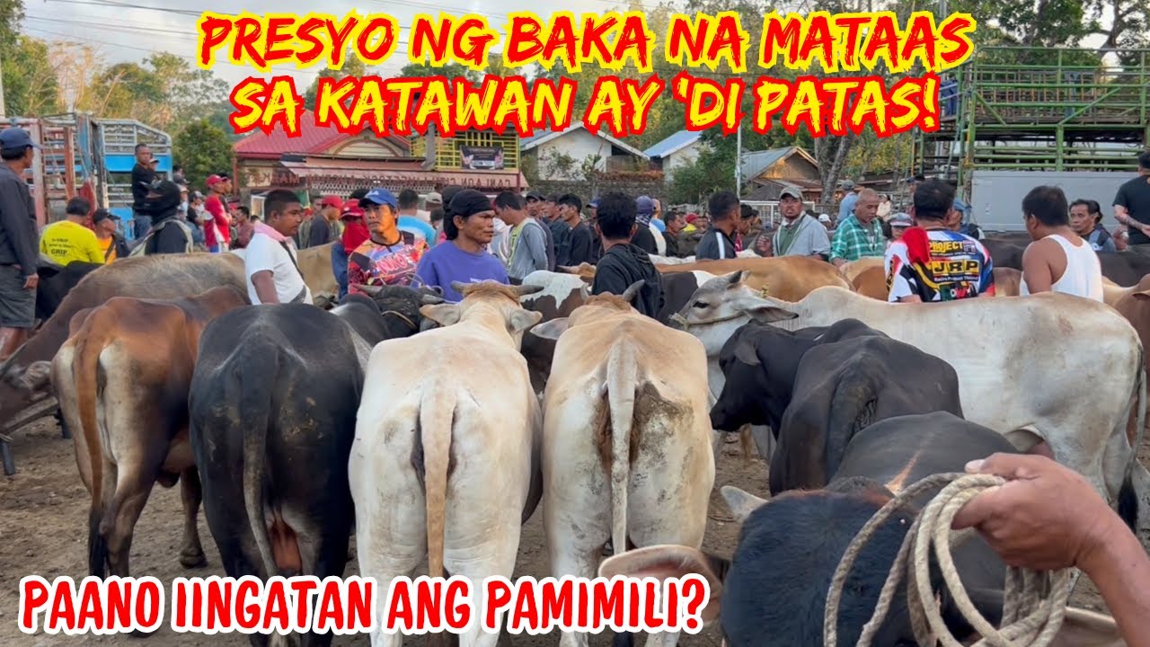 PRESYO NG BAKA 'DI TAMA ANG PRESYO SA KATAWAN! | PART 2 - CANLAON ...