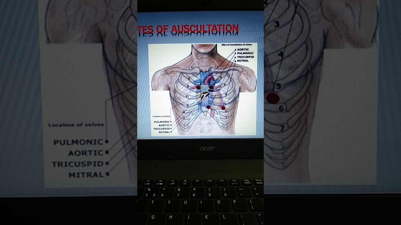 Heart sound and ECG basic physiology - YouTube
